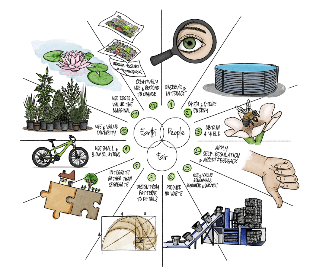 What is permaculture, and why is it sustainable? | Greenwood Plants