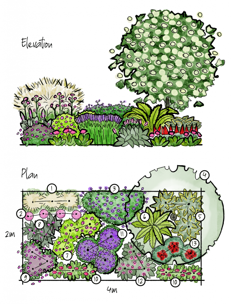 Playground friendly planting scheme | Greenwood Plants