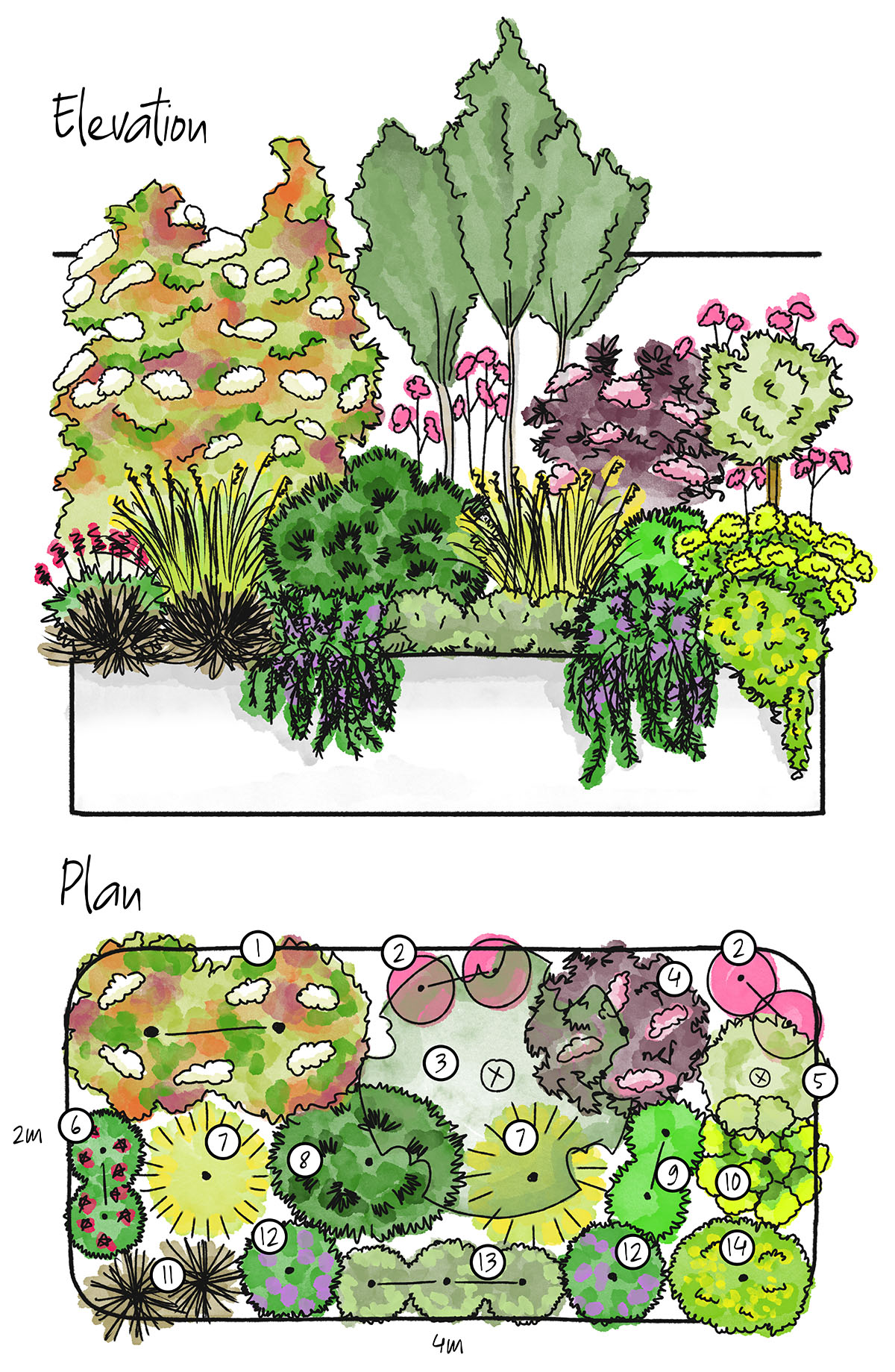 Rooftop planting scheme | Greenwood Plants