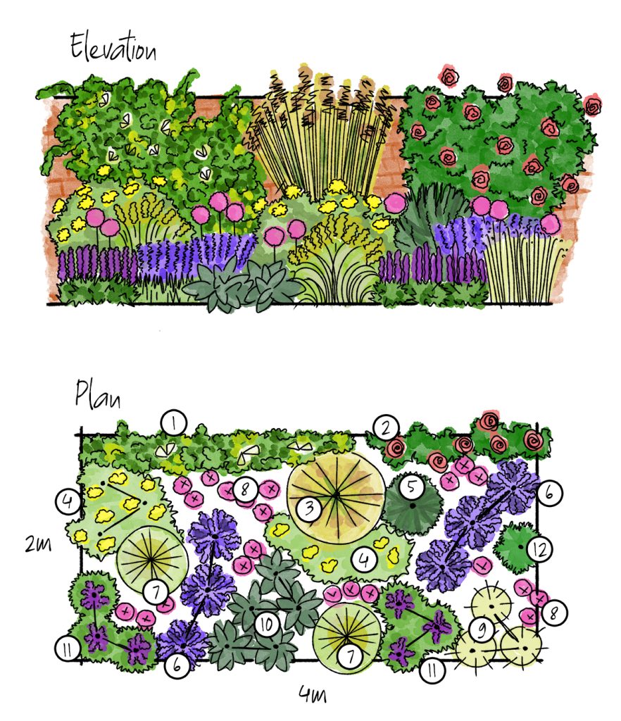 Sensory planting scheme | Greenwood Plants