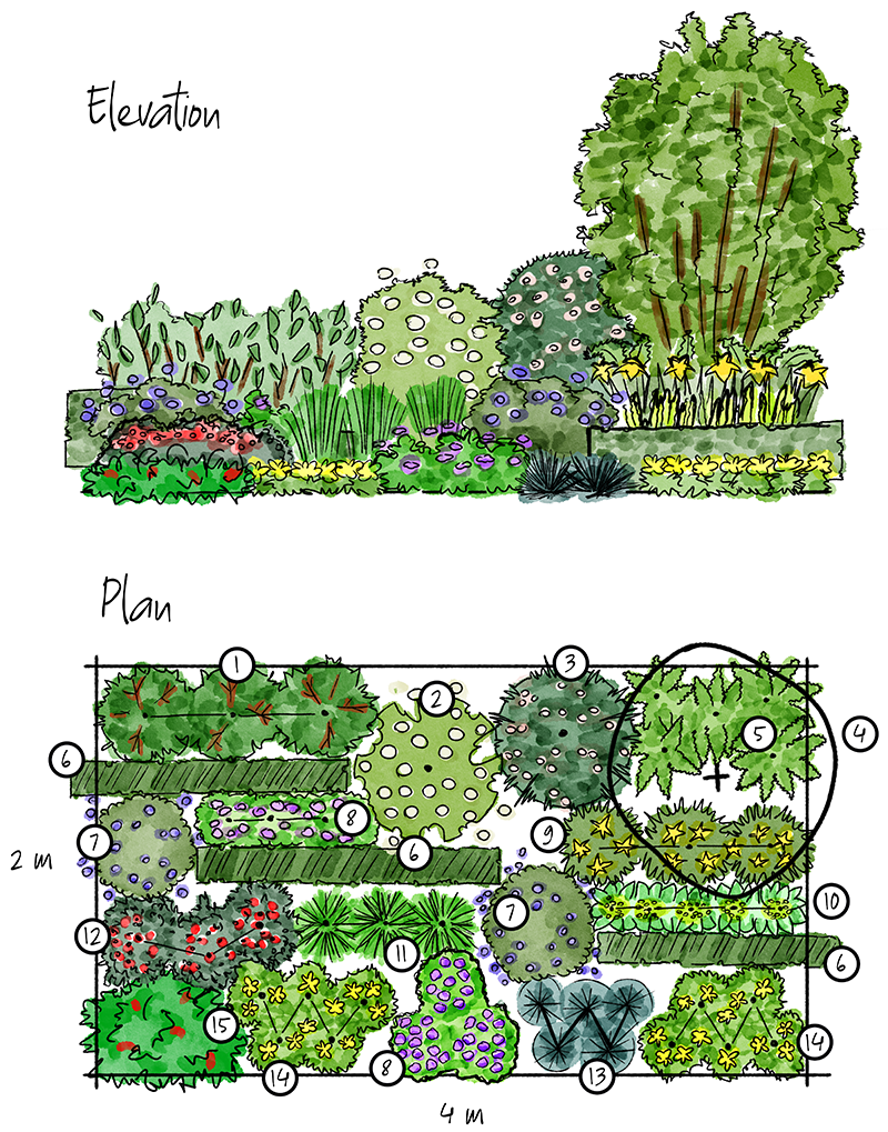 Biodiversity enhancing planting scheme | Greenwood Plants