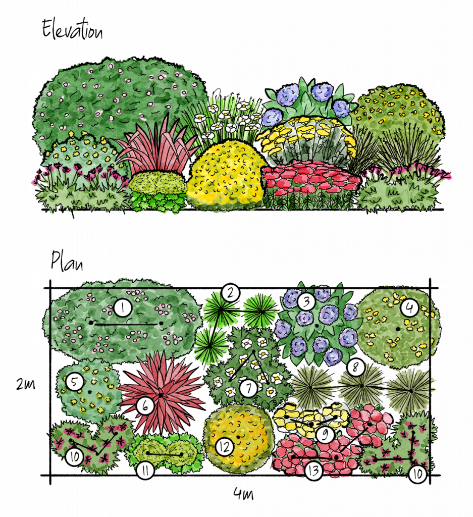 Coastal tolerant planting scheme | Greenwood Plants