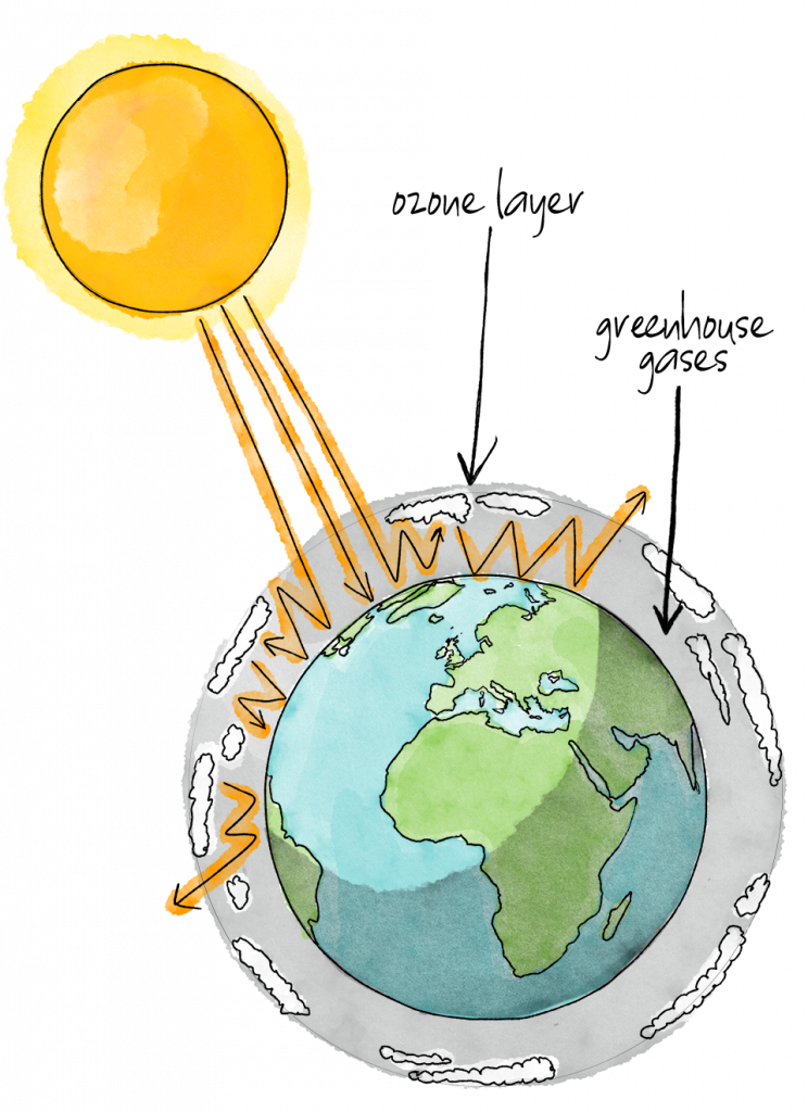 The Environmental Benefits of Plants | Greenwood Plants