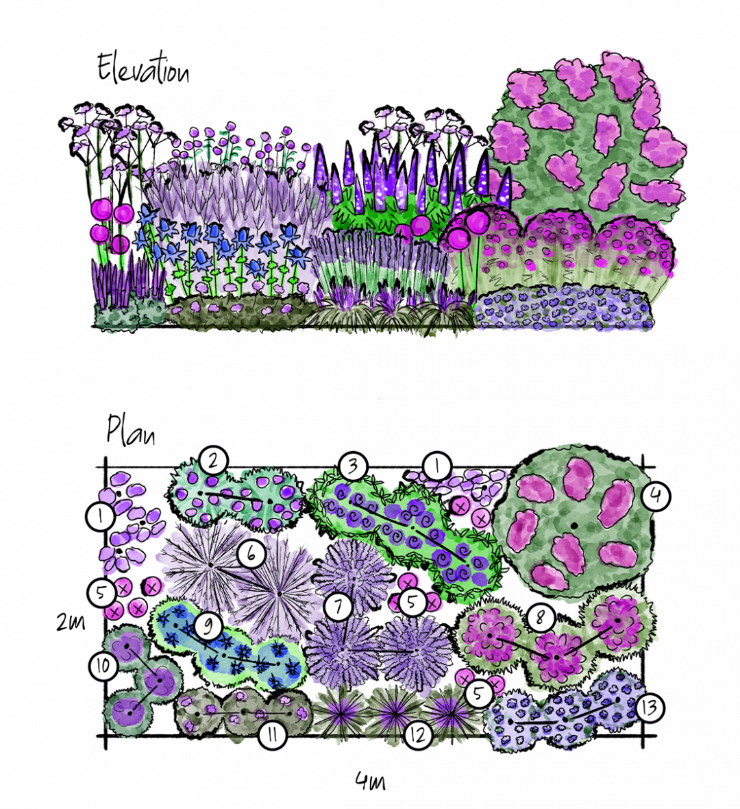 Monochromatic planting scheme | Greenwood Plants
