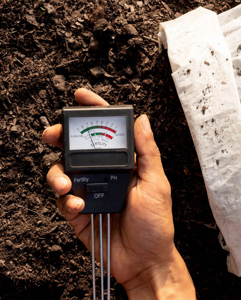 Planting for Acidic Soils | Greenwood Plants