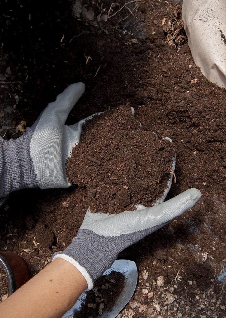 Optimising Soil Health and Site Preparation | Greenwood Plants