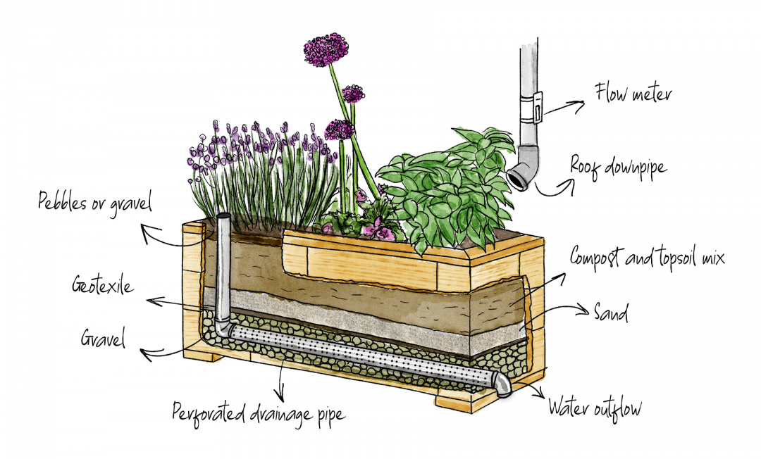 Understanding Sustainable Drainage Systems (SuDS) | Greenwood Plants